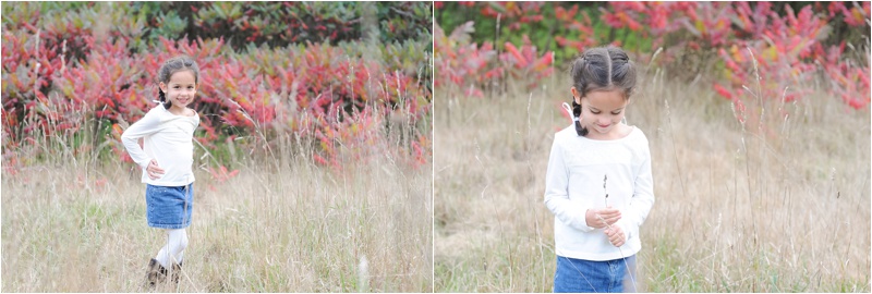 The Soule Family - Showit Blog